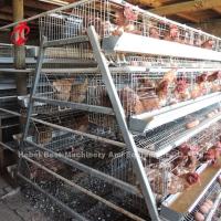 China Wholesale Factory Price Q235 Poultry Layer Cage , Battery Cage System 256 Birds  Star for sale