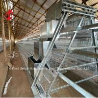 China Galvanized Poultry Farming A Type Automatic Cage System For Layers In Nigeria Popular Rose for sale