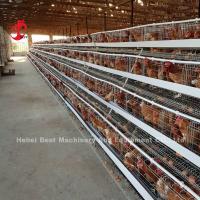 China Most Popular A type Chicken Layer Battery Cage For Sale In Uganda 20000 birds Star for sale