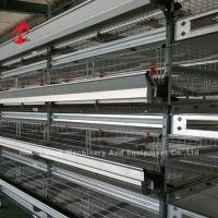 China Battery Automatic H Type Poultry Cage System Hot Sale 240Birds Rose for sale