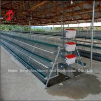 China A Type 160 Capacity Layer Battery Cage System , Egg Laying Chicken Cage Sandy for sale
