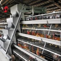 China Turnkey Project Automatic Poultry Battery Cage System 3 Tiers 450cm2 Star for sale
