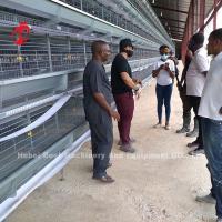 China A H Type Adult Commercial Chicken Battery Cages For Laying Hens Star for sale