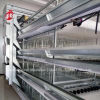China Complete H Type Automatic Layer Chicken Battery Cages 500 Birds Adela for sale