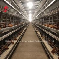 China Complete H Type Automatic Layer Chicken Battery Cages 500 Birds Adela for sale