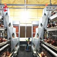 China A Type Layer Chicken Battery Cage Full Automatic For Large Farm Adela for sale