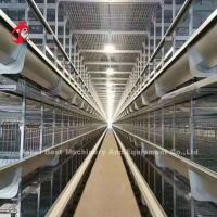 China A Type Layer Chicken Battery Cage Full Automatic For Large Farm Adela for sale