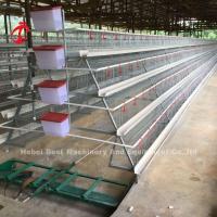 China Discount A Type Poultry Battery Cage For Layer Sale 160 birds In Zambia Adela for sale