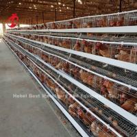 China A Type 160 Capacity Layer Battery Cage System , Egg Laying Chicken Cage Sandy for sale