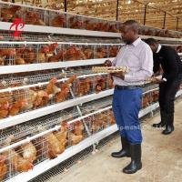 China Chicken Battery Poultry Farming Cage System A H Type 3 tiers For Layer Rose for sale