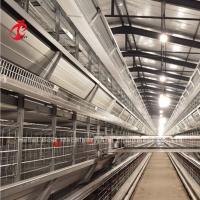 China Chicken Battery Poultry Farming Cage System A H Type 3 tiers For Layer Rose for sale