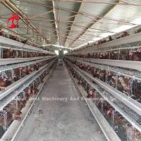 China Cheap Automated Battery Cage System Hot Galvanized 25 Lifespan 450cm2 In Nigeria Emily for sale