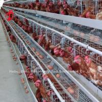 China 4 Tiers High Hardness Layer Chicken Battery Cages Metal Wire With Water Tank Rose for sale
