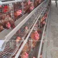 China High Stability Poultry Battery Cage System Layer Hens In Africa ISO9001 Emily for sale