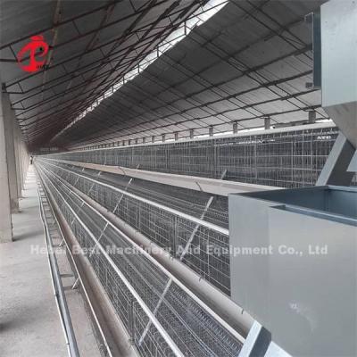 China Efficiency Layer Battery Cage Price In Nigeria Emily for sale