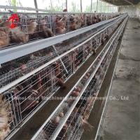 China Efficiency Layer Battery Cage Price In Nigeria Emily for sale