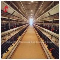 China Full Automatic Battery Cage Price In Nigeria H type layer  Mia for sale