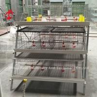 China Save Space Poultry Broiler Chicken Cage Low Carbon Steel Wire In Africa  Adela for sale