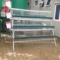China Electric Galvanized Layer Poultry Farm Cage Anti Rust Layer Battery Cages Emily for sale