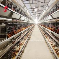 China 2.2m Poultry Farming Cage System , 9 Tiers Battery Cage For Layers Rose for sale