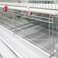 China 2.2m Poultry Farming Cage System , 9 Tiers Battery Cage For Layers Rose for sale