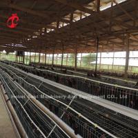 China A Type 3 Tiers Layer Chicken Battery Cages 120 Birds 450cm2 Star for sale