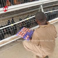 China A Type 3 Tiers Layer Chicken Battery Cages 120 Birds 450cm2 Star for sale