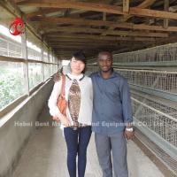 China 80-100 Kg H Type Automatic Layer Cage System with 450 Cm2 Area/Bird Rose for sale