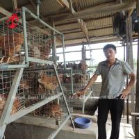 China 120 Birds Layer Battery Cage System 450cm2 Long Lifespan CE Star for sale
