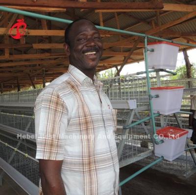 China A Type 4 Tiers 160 Birds Poultry Chicken Battery Layer Cage Hot Galvanization Star for sale