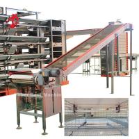 China Hot Sale Chicken Battery Cage Brooding cage Broiler cage Poultry Farm In Africa  Mia for sale