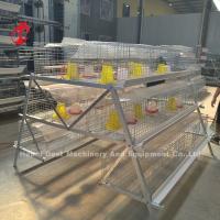 China Q235 Poultry Farming Cage System Baby Chicks Brooder Steel Wire  Emily for sale