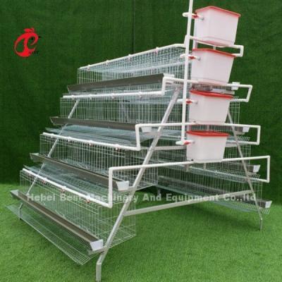 China 10000 Layers Chicken Layer Battery Cage Semi Automatic Save Space Adela for sale