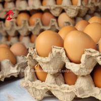 China Automatic Poultry Farming Cage System With Electro / Hot Dip Galvanized Surface Rose for sale