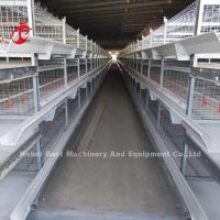 China H Type Broiler Chicken Cage CE , Full Automatic Broiler Cage Equipment Adela for sale
