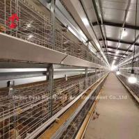 China H Type Broiler Chicken Cage CE , Full Automatic Broiler Cage Equipment Adela for sale
