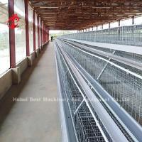 China 4 tier Poultry Farming Cage System , Easy Install Galvanized Chicken Cage Doris for sale