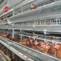 China 4 tier Poultry Farming Cage System , Easy Install Galvanized Chicken Cage Doris for sale