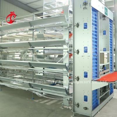 China Automatic Customize Stable Layer Poultry Farm Cage Battery Bigger Size Rose for sale