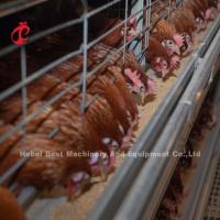 China 432cm2 Poultry Farming Cage System , Steel automatic layer cage system Rose for sale