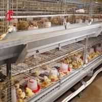 China Full Automatic Poultry Farming Cage System Anti Corrosive In Nigeria Rose for sale