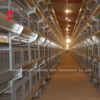 China Full Automatic Poultry Farming Cage System Anti Corrosive In Nigeria Rose for sale