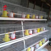 China ISO Battery Type Breeding Cage , 3 tier chicken cage For Poultry Farm Iris for sale