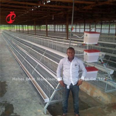 China Semi Automatic Poultry Farming Cage System , 380V 1.5KW Egg Layer Cages Ada for sale