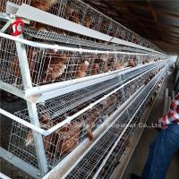 China 4 Tiers Layer Chicken Battery Cages Automatic In Uganda Ada for sale