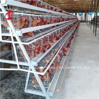 China 2.8mm-3.5mm Cage Wire Diameter Poultry Cage System Save Labor Increase Profits Iris for sale