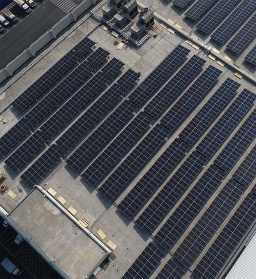 China Rixin PERC 550W 10BB Monostalline PV Module 144 Cells Paneles Solares Kit Costo for sale