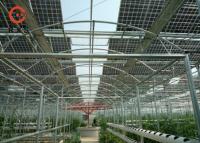 China Dual Glass Monocrystalline Solar Panel , 305W Perc Solar Panel Transparent Type for sale