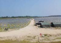 China Photovoltaic Manufacturer Flexible PV Bracket Bifacial Solar Panels Solar Module System Anti Corrosive for sale