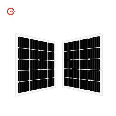China Rixin CE BIPV Solar Panels Transparent Glass Monocrystalline PV Module for sale